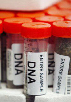 Forensic DNA Testing - Facednatest.co.uk